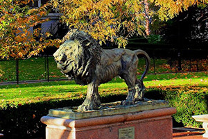 CUHR Connection | Human Resources